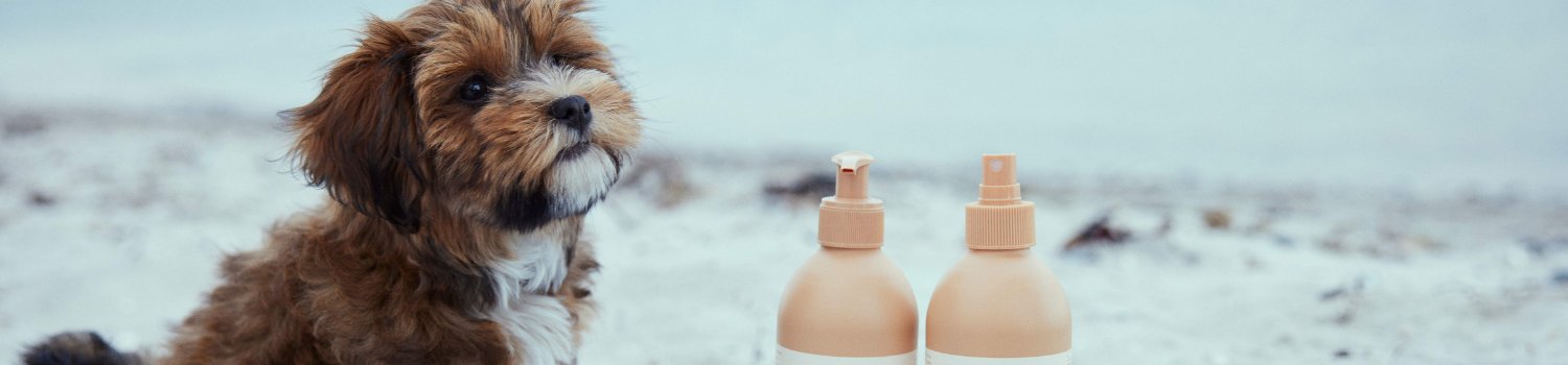 Nocat Studio – Nordic Fusion Store