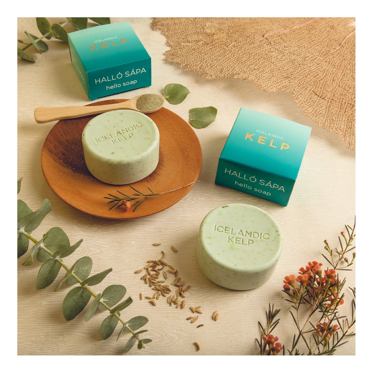 Nordic Fusion | Kalastyle Icelandic Kelp Soap – Nordic Fusion Store