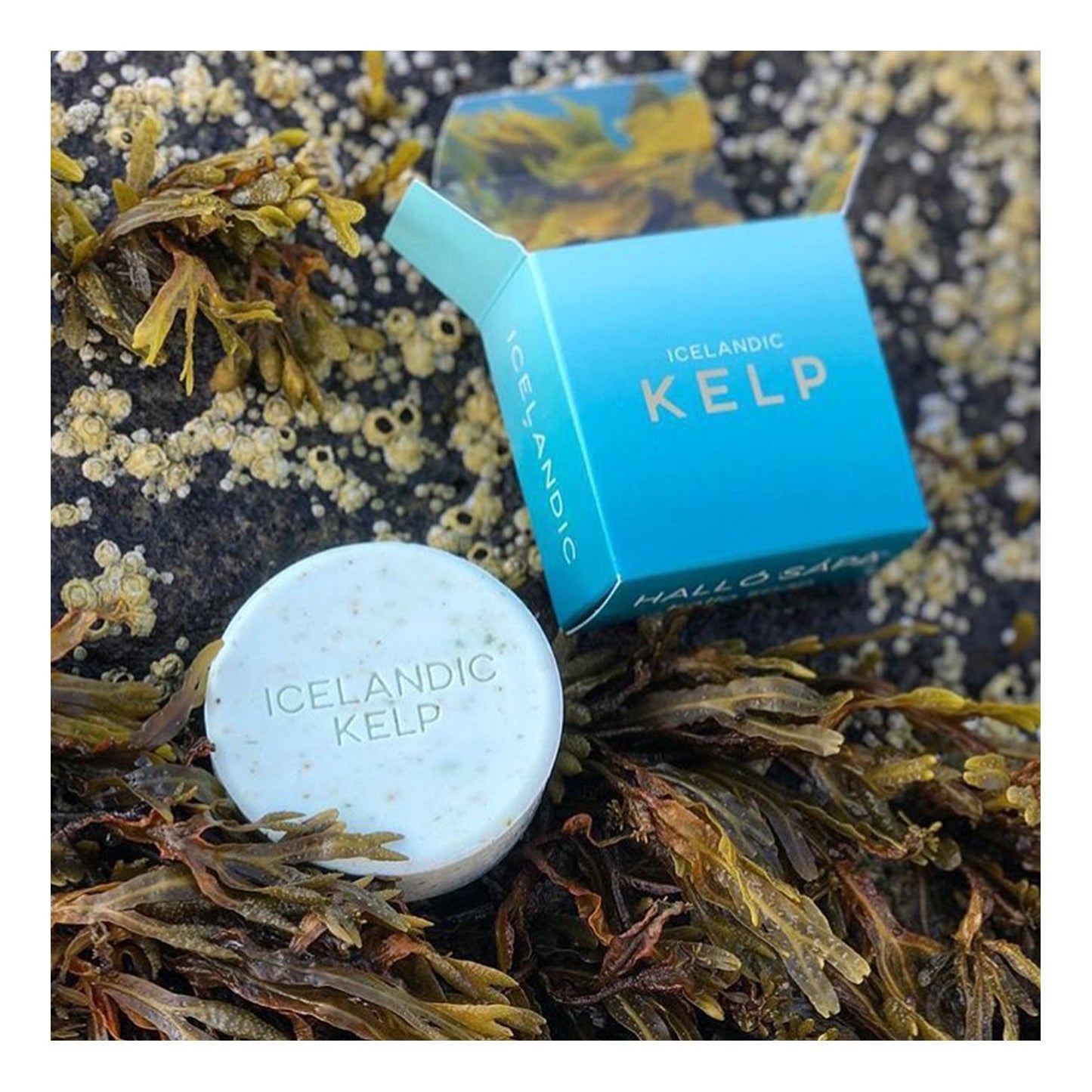 Nordic Fusion | Kalastyle Icelandic Kelp Soap – Nordic Fusion Store